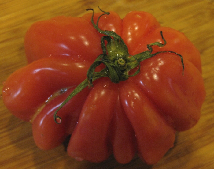 tomato — Run Plant Based
